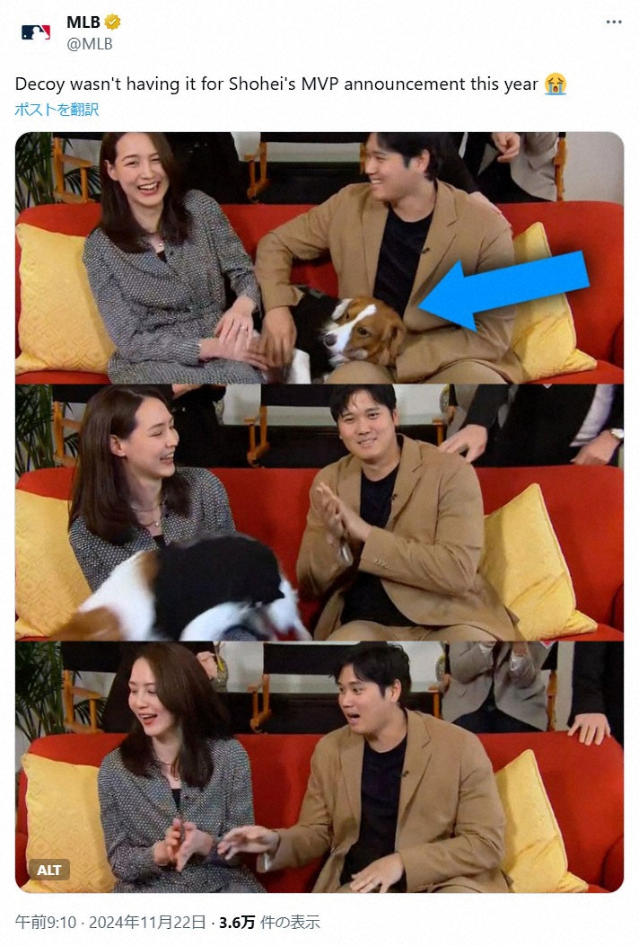 大谷翔平、MVP3度目の受賞！真美子夫人と愛犬デコピンのBOSSコーデにも注目