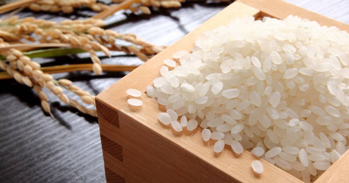 日本文化の核心：稲作から生まれた「稲魂」の神秘